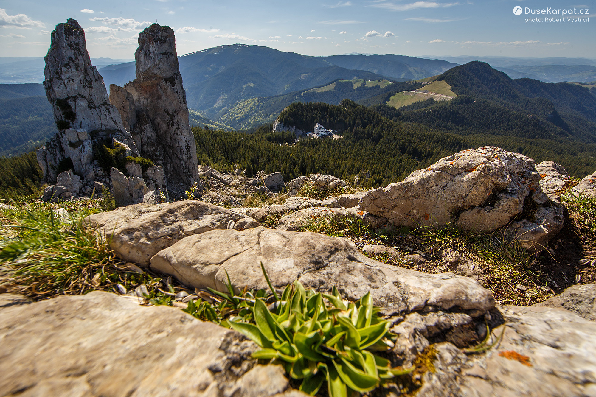 Contact – Casa Izvorul Raraului